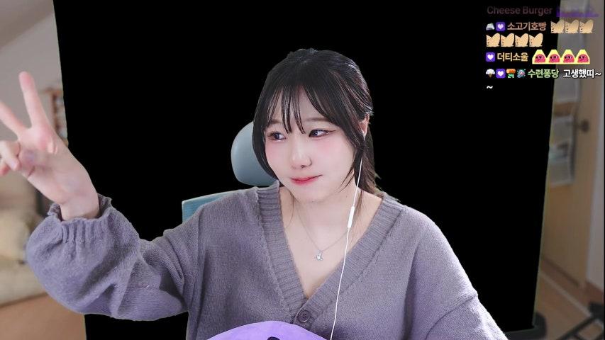 치지직(CHZZK) 크리에이터 팔로워 랭킹 - 오로라이브 Aurolive